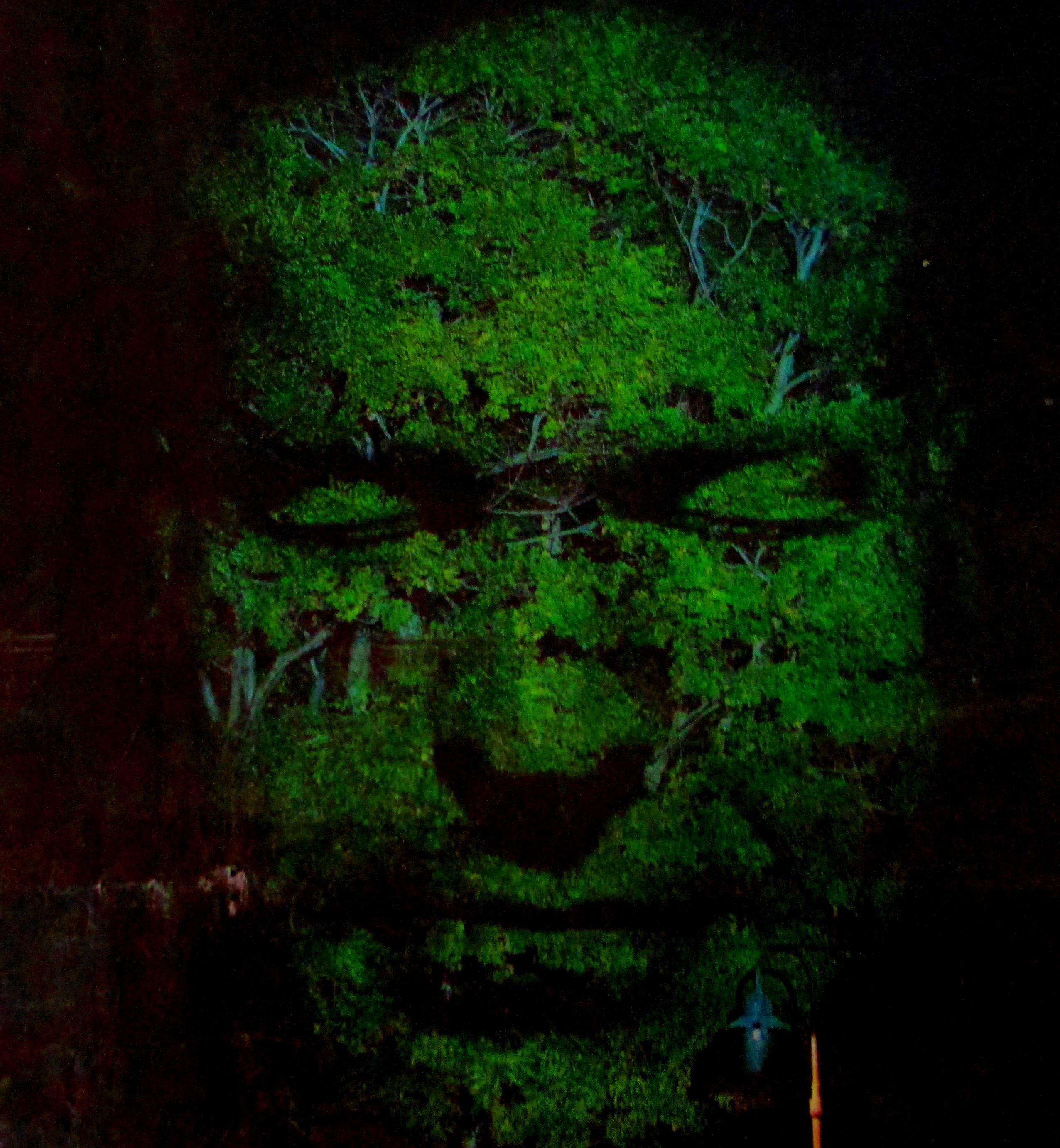 Craig Walsh| Projection artist | White Nights | MaryAnn Adair's 'Is it ...